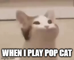 pop cat - Imgflip