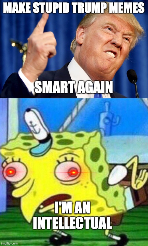 Image tagged in donald trump,triggerpaul - Imgflip