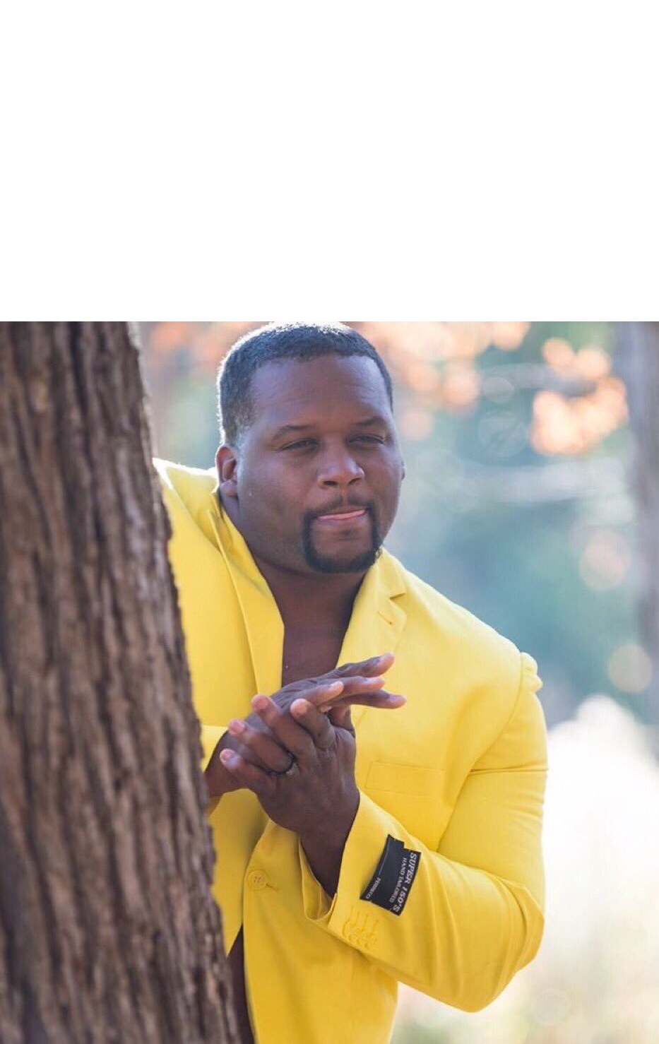 Anthony Adams Rubbing Hands Together Blank Template Imgflip