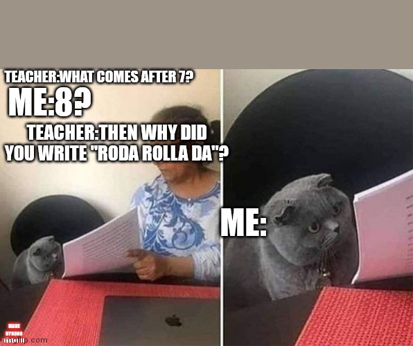 Teacher Cat HD - Imgflip