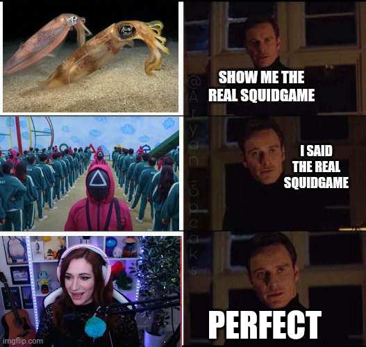 show me the real - Imgflip