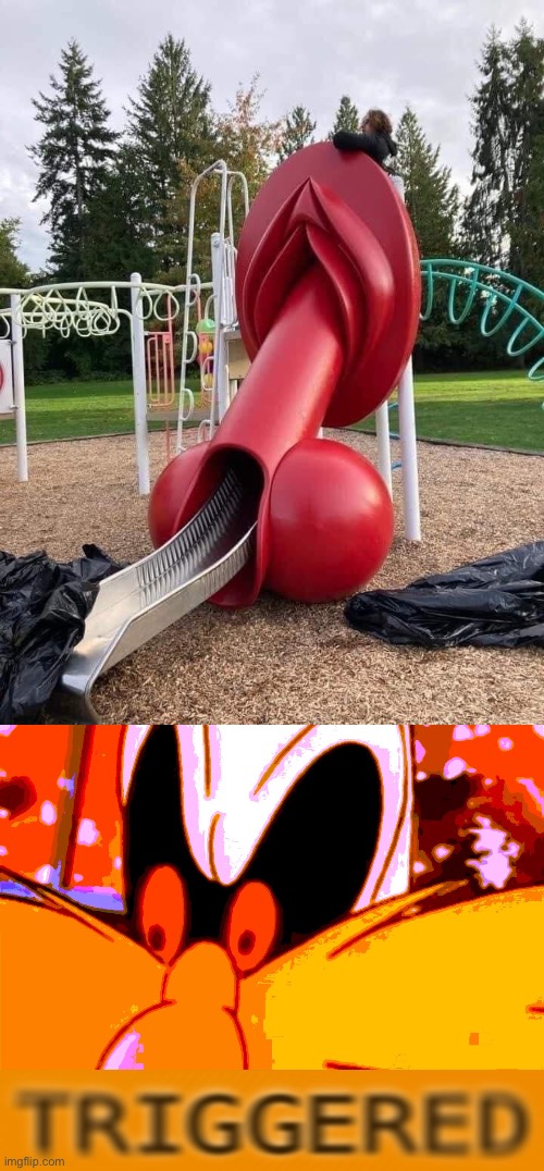 New PINGAS slide at the local park - Imgflip