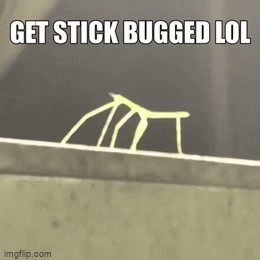 Get stick bugged LOL - Imgflip