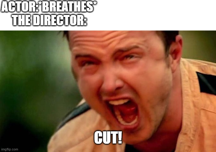 Aaron Paul Screaming - Imgflip