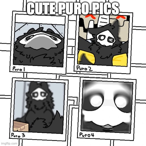 LOL Puro photos - Imgflip