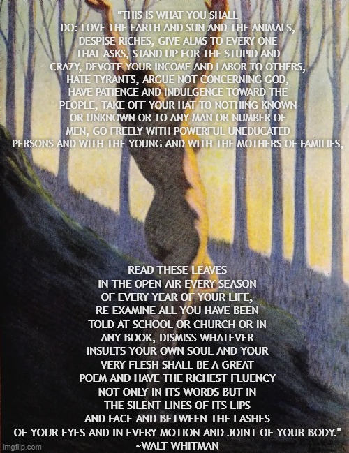 What Shall We Do, Walt Whitman? - Imgflip
