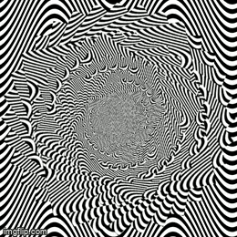 stare at it for 10 seconds and then look around you - Imgflip