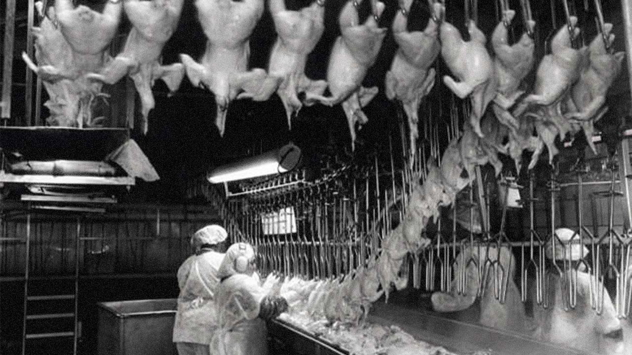 Meatpacking Meme Blank Template - Imgflip