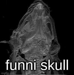 haha funni skull - Imgflip