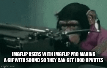 Monkey Typing - Imgflip