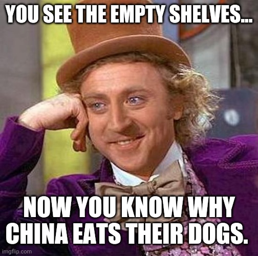 Cats and dogs. - Imgflip