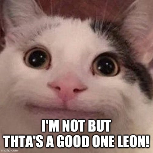 f[ nofn [orng oi[nrf[o n[o3rf - Imgflip