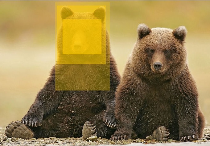 bears vibing - Imgflip