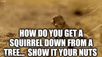 Cringe gif - Imgflip