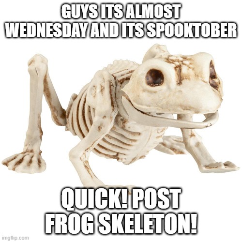 BEST COMBINATION : r/memes