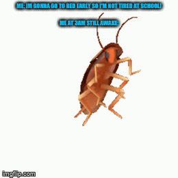 Every SINGLE time I say that, I still stay up late - Imgflip