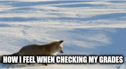 Man checking grades be like - Imgflip