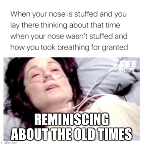stuffed nose - Imgflip