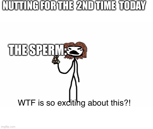 Nutting isn’t exciting now - Imgflip