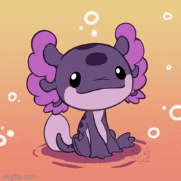 I Want To Be The Popping Cat Meme Too - Imgflip