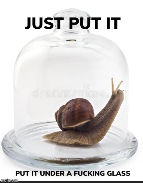 There. No more snail - Imgflip
