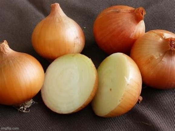 Sigma male rule #349: spam onion pictures during drama - Imgflip