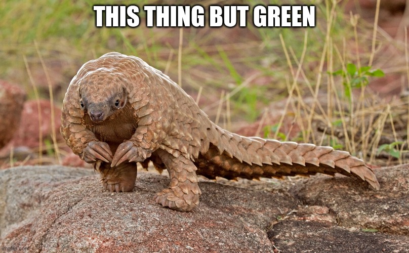 the observer in a nutshell - Imgflip