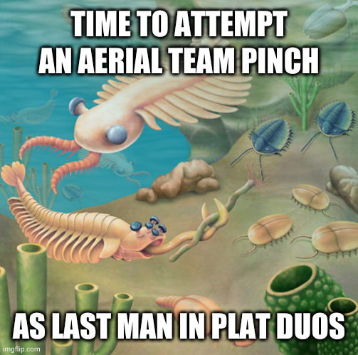 Aerial Man Memes