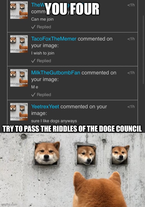 Image tagged in the doge council - Imgflip