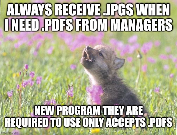 Baby Insanity Wolf Meme - Imgflip