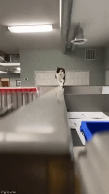 The video I named! /pos (my comment was pinned :00) - Imgflip