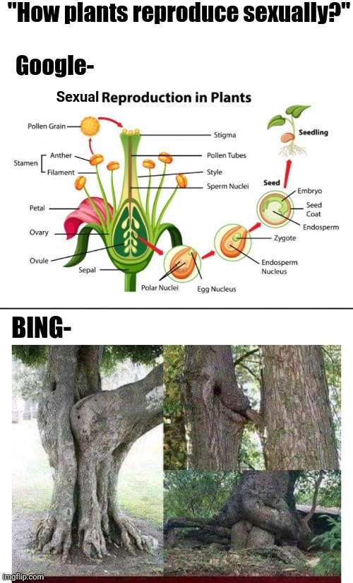 If our biology was a lie - Imgflip