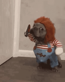 Chucky Dog - Imgflip