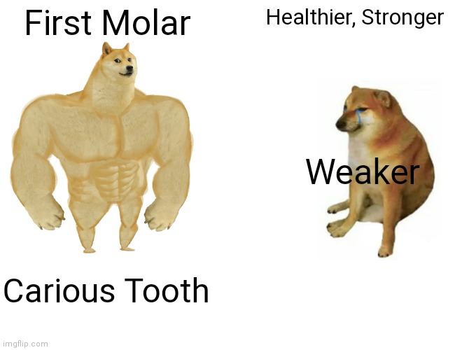 Buff Doge vs. Cheems Meme - Imgflip