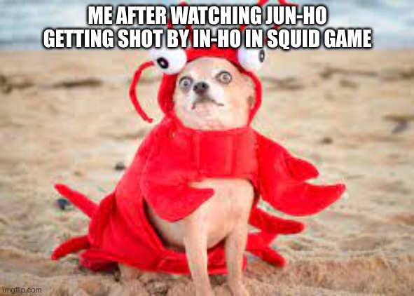 surprised and scared lobster dog - Imgflip