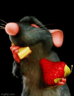 Remy Eating Cheese - Imgflip