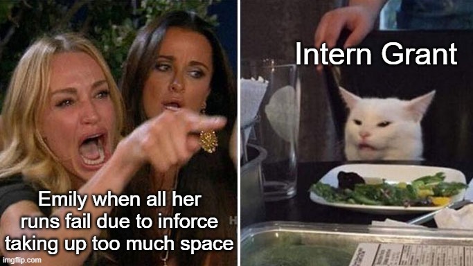 Angry lady cat - Imgflip