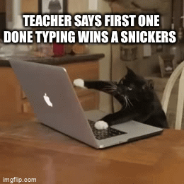 Typing kitty - Imgflip