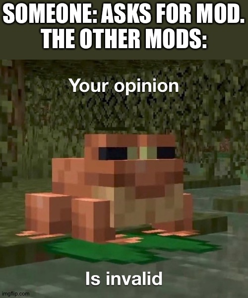 Your opinion Is invalid - Imgflip