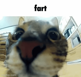 fart - Imgflip