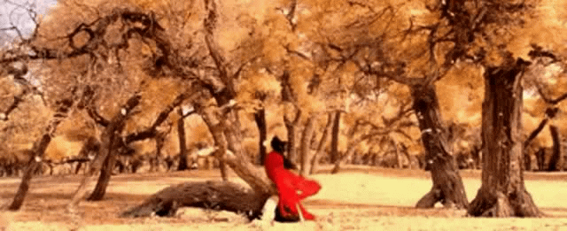 from "Hero" (2002) - Imgflip