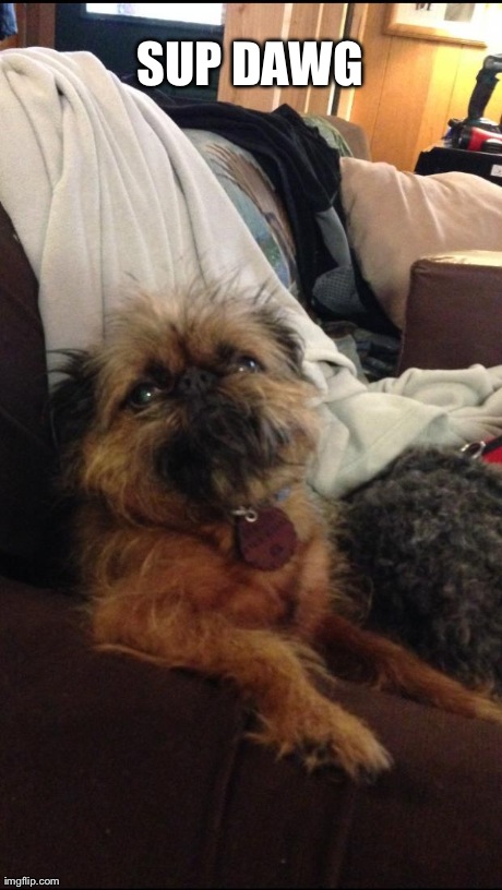 Image tagged in sup dawg - Imgflip