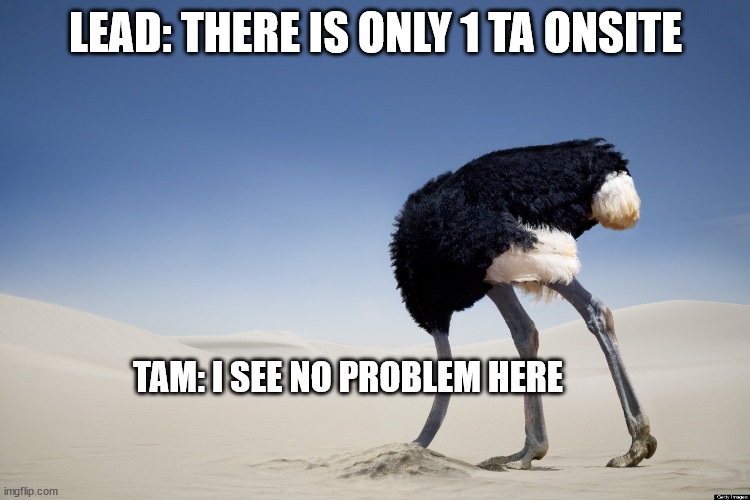 Ostrich head in sand - Imgflip