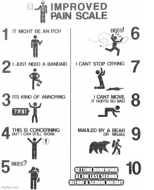 Improved Pain Scale Imgflip