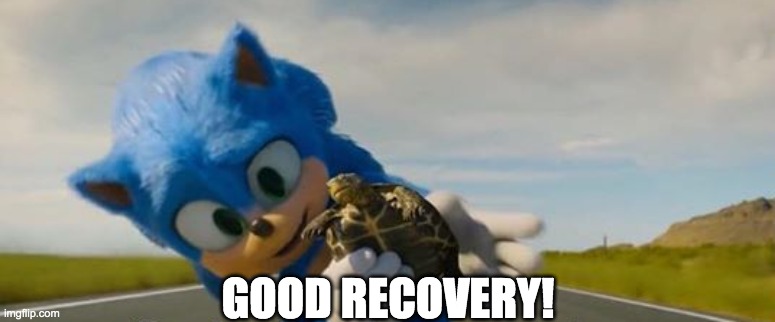 Sonic the Hedgehog good recovery - Imgflip