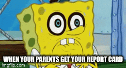 When your parents get your report card - Imgflip