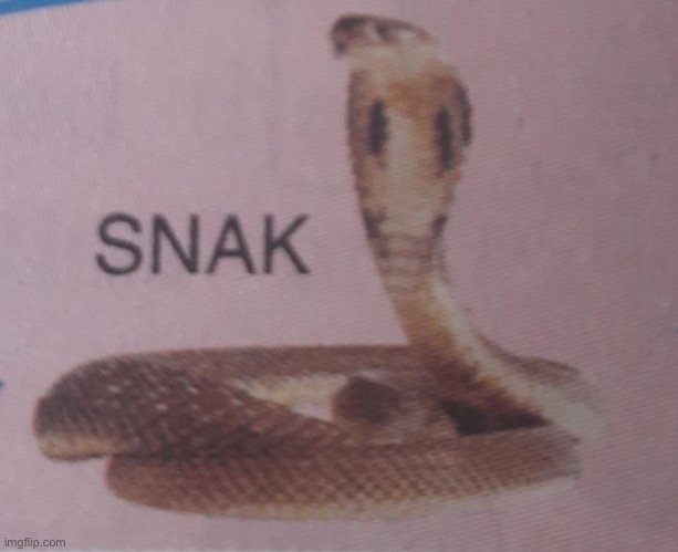 Snek - Imgflip