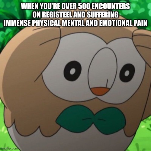 Rowlet Meme Template - Imgflip