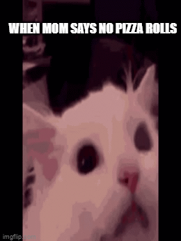 no pizza rolls - Imgflip
