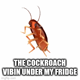 The cockroach vibin under my fridge... - Imgflip